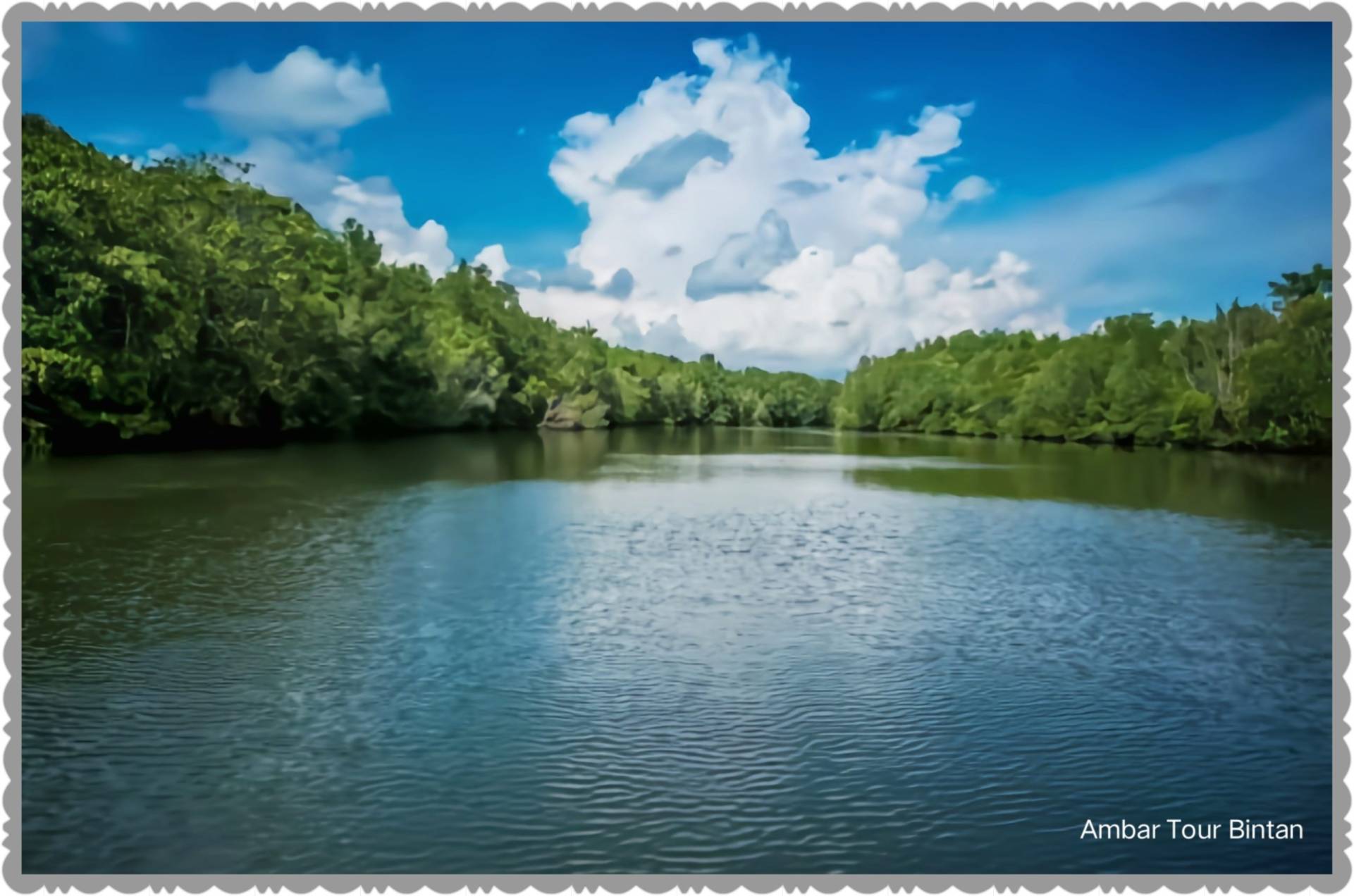 Home Page | Ambar Tour Bintan | Bintan Tour | Mangrove Tour Fire Flies ...